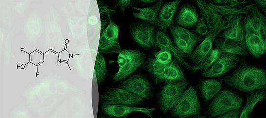 DFHBI Fluorophore | 1-10mg | Lucerna Technologies DFHBI Fluorophore | 1-10mg | Lucerna Technologies