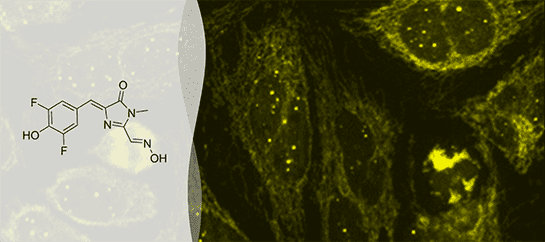 DFHO Fluorophore | 1mg | Lucerna Technologies